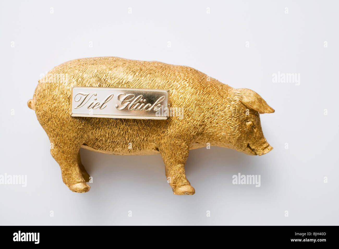 Good luck pig hi-res stock photography and images - Alamy