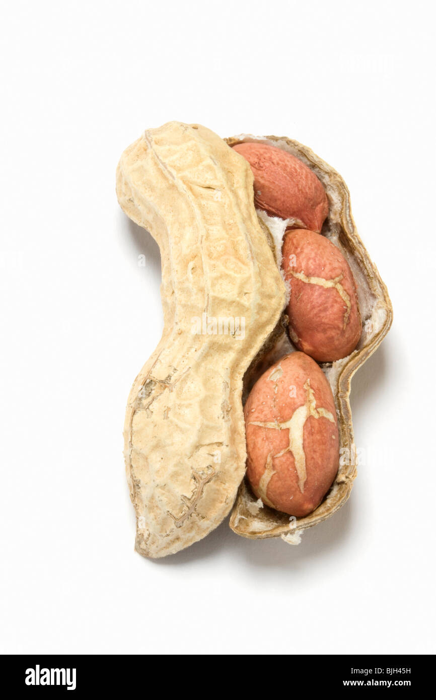 Single peanut hi-res stock photography and images - Alamy