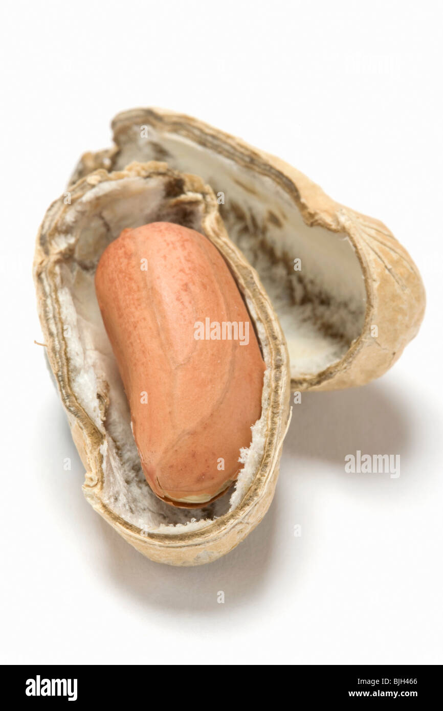 Close up of an opened peanut hi-res stock photography and images - Alamy