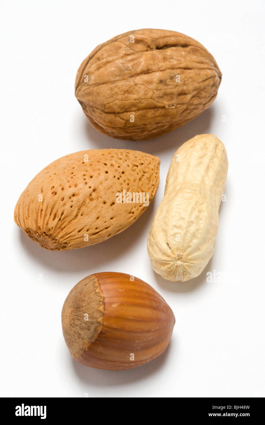 Walnut, almond, peanut and hazelnut Stock Photo - Alamy