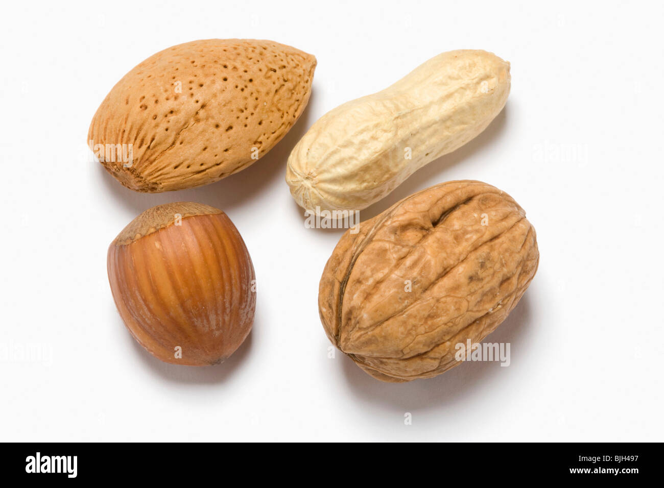 Almond, hazelnut, peanut and walnut Stock Photo - Alamy