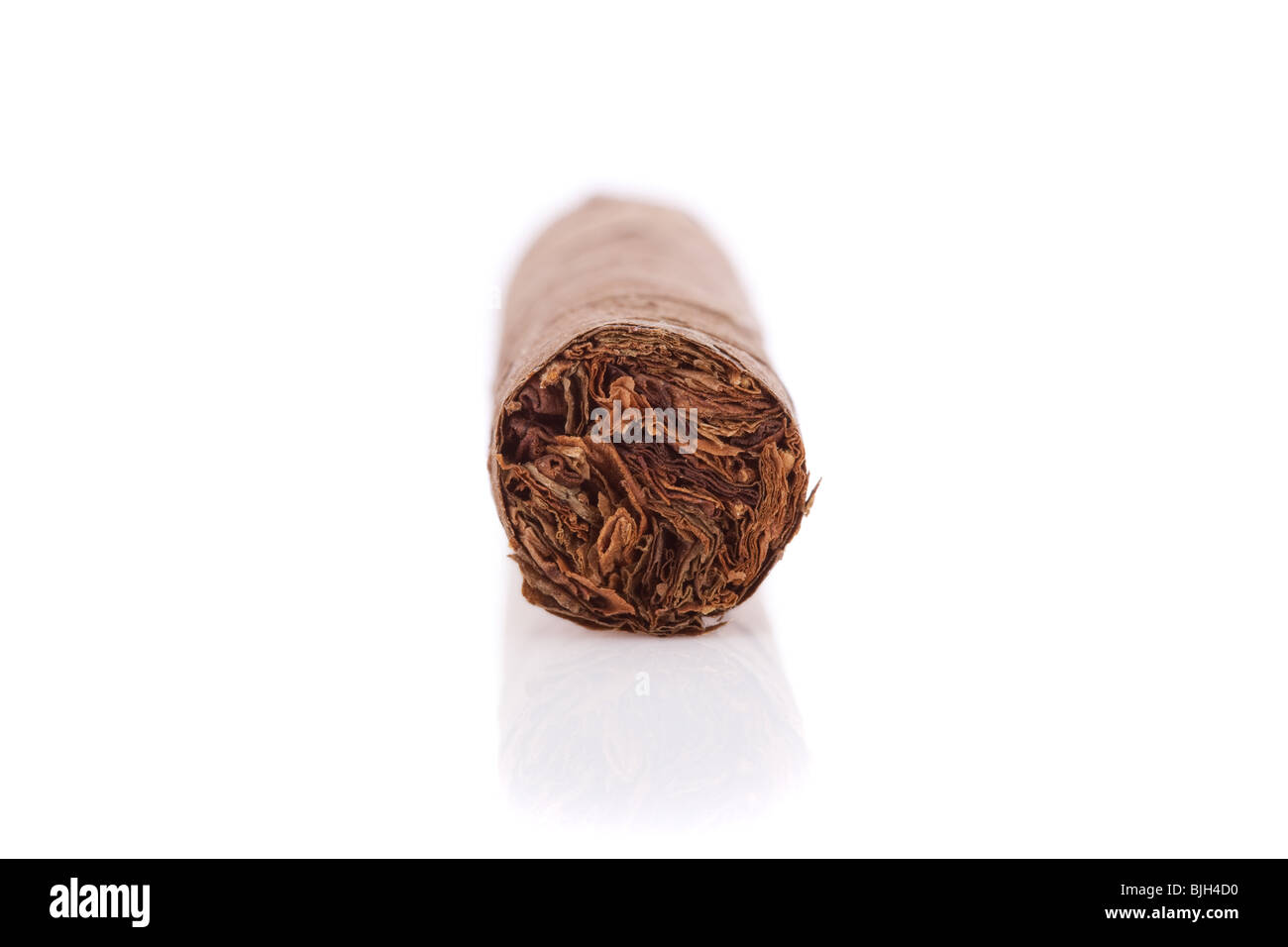 Big cigar isolated on a white background Stock Photo - Alamy