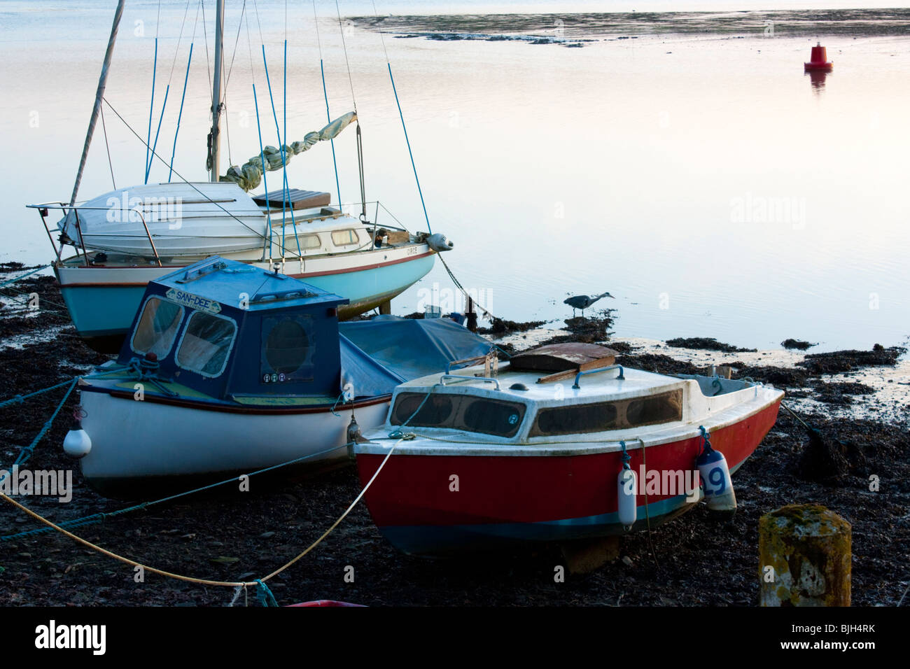Malpas cornwall hi-res stock photography and images - Alamy