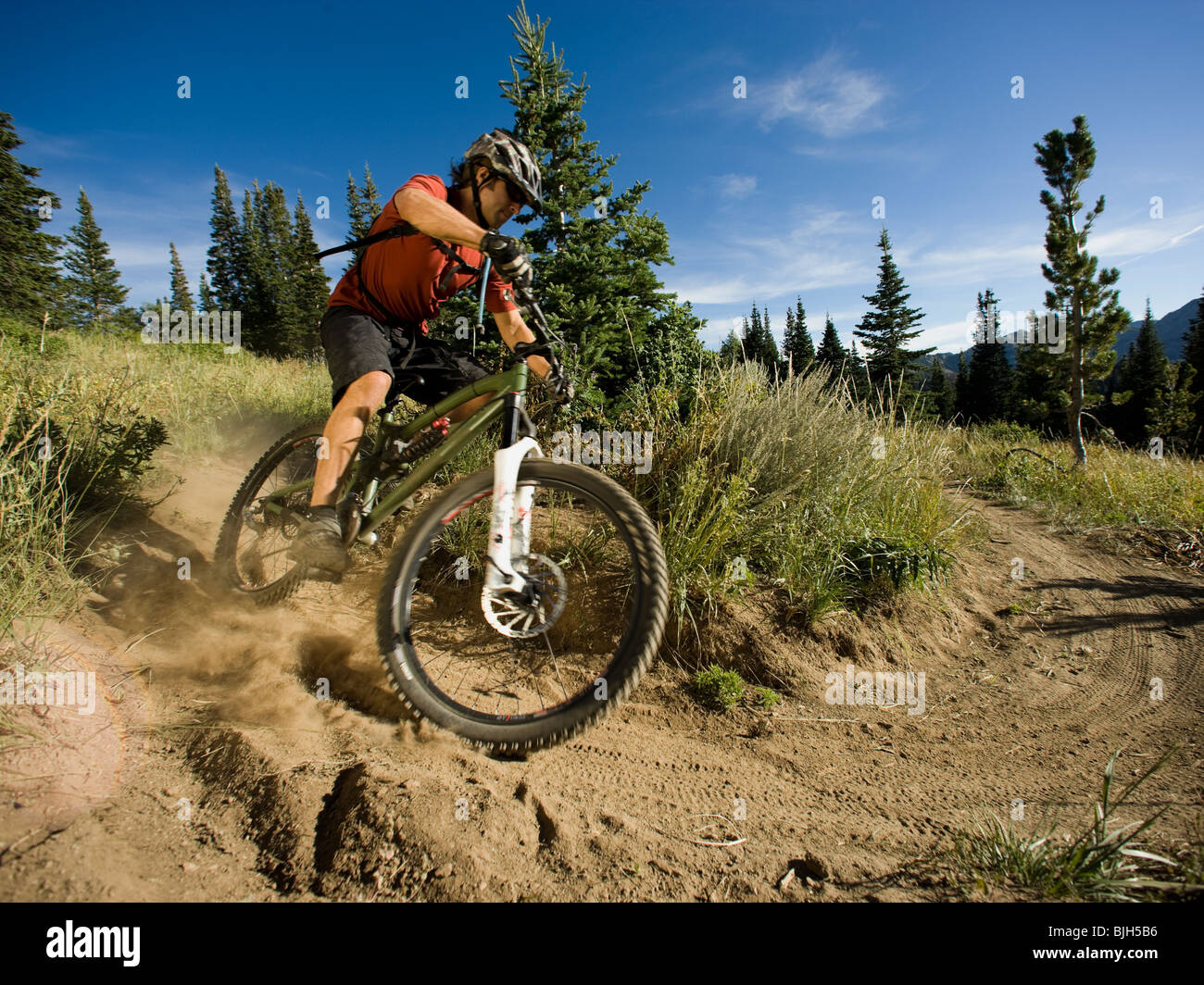 mountain biker on a trail Stock Photo - Alamy