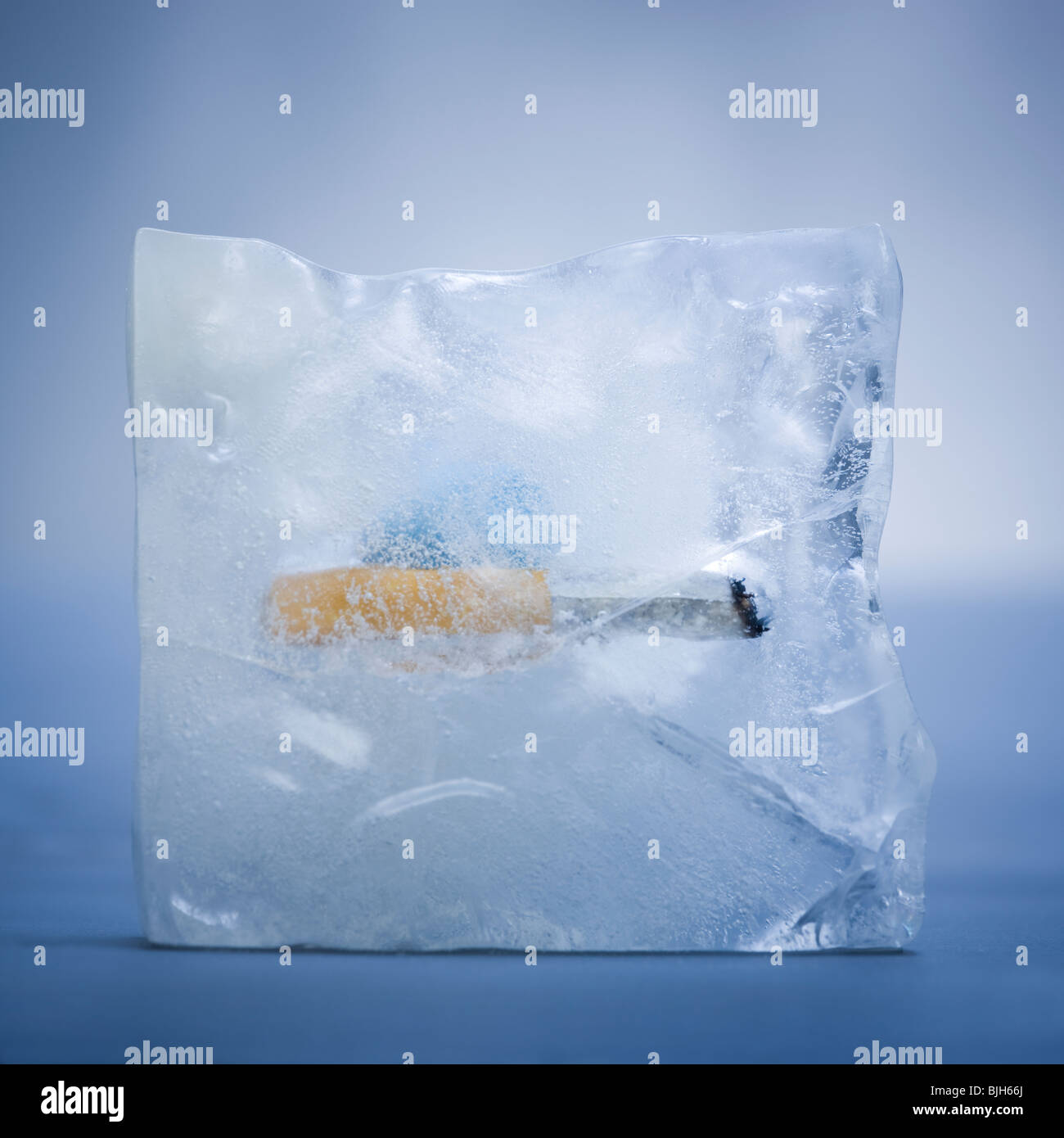 cigarette butt frozen in a block of ice Stock Photo - Alamy