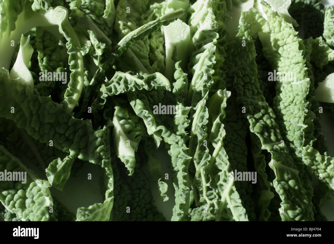 A close up of crinkly savoy cabbage Stock Photo - Alamy