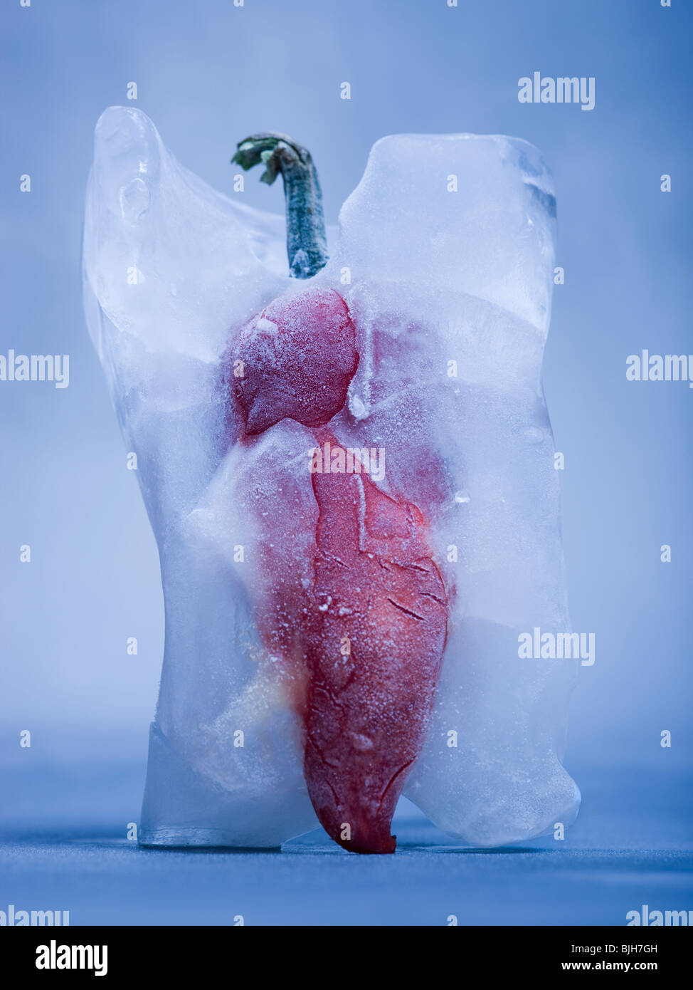 Ice pepper hi-res stock photography and images - Alamy