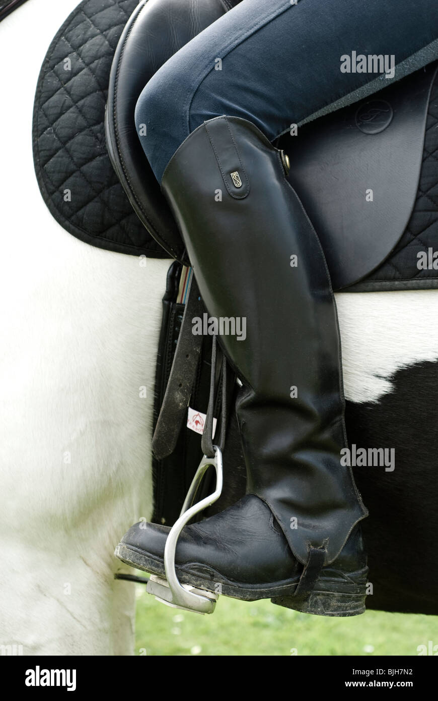 Horse riders booted foot on stirrup Stock Photo - Alamy
