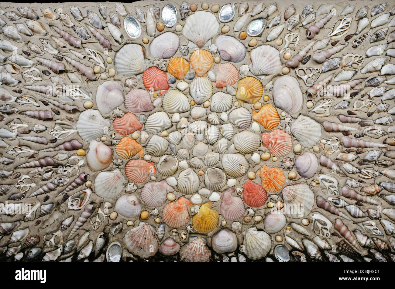 Mural of shells. Shell House Mural by Lucy Dorrien-Smith Stock Photo ...