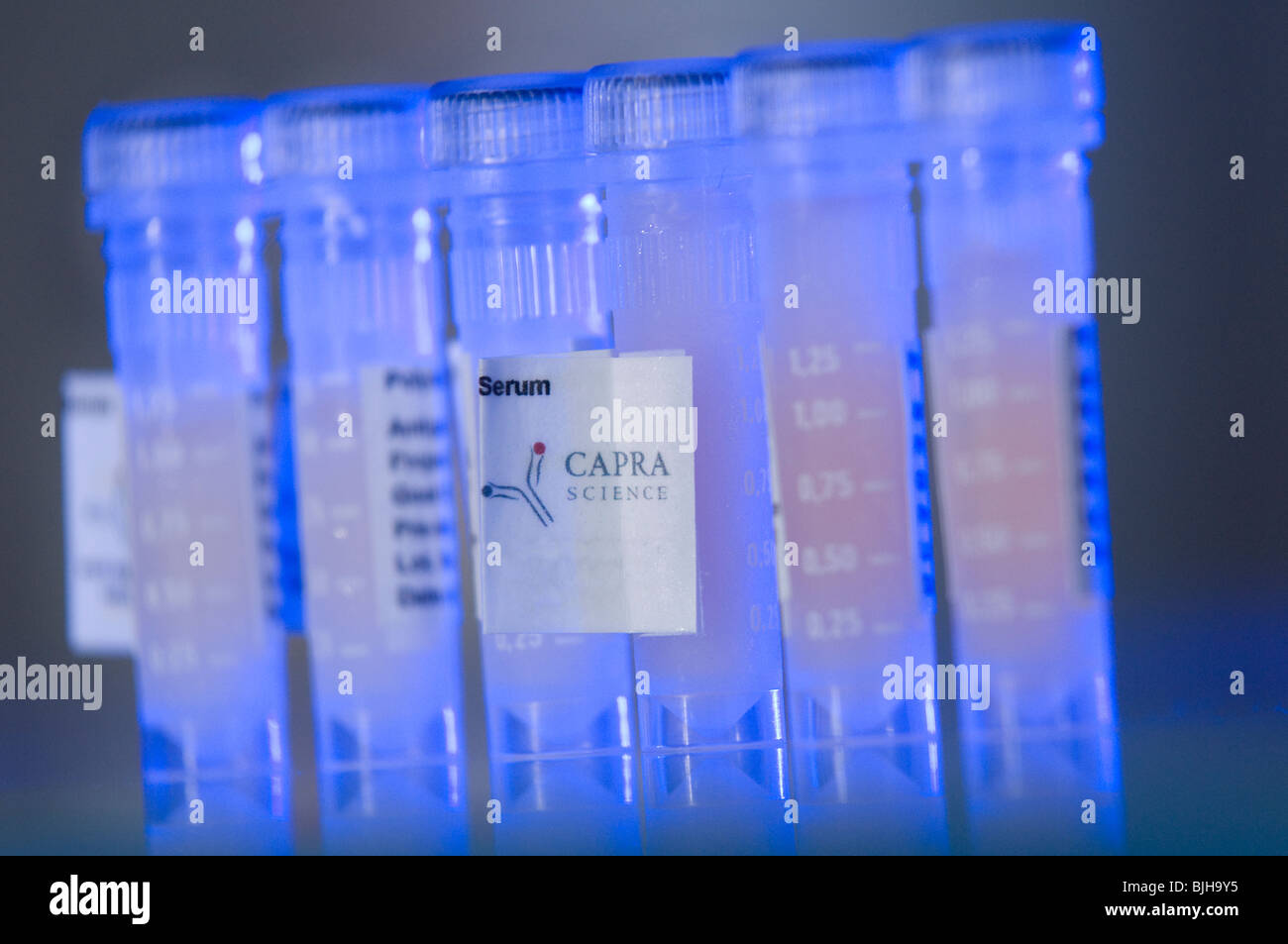 preparation of blood serum Stock Photo - Alamy