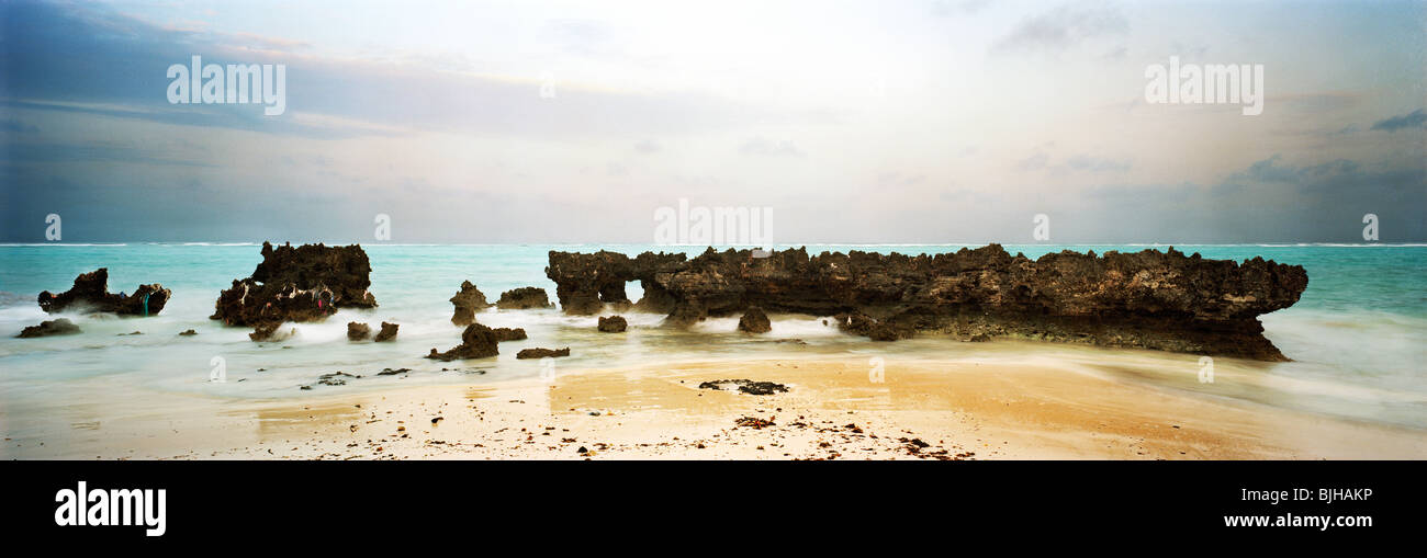 Reef, Zanzibar, Indian Ocean, Tanzania Stock Photo - Alamy