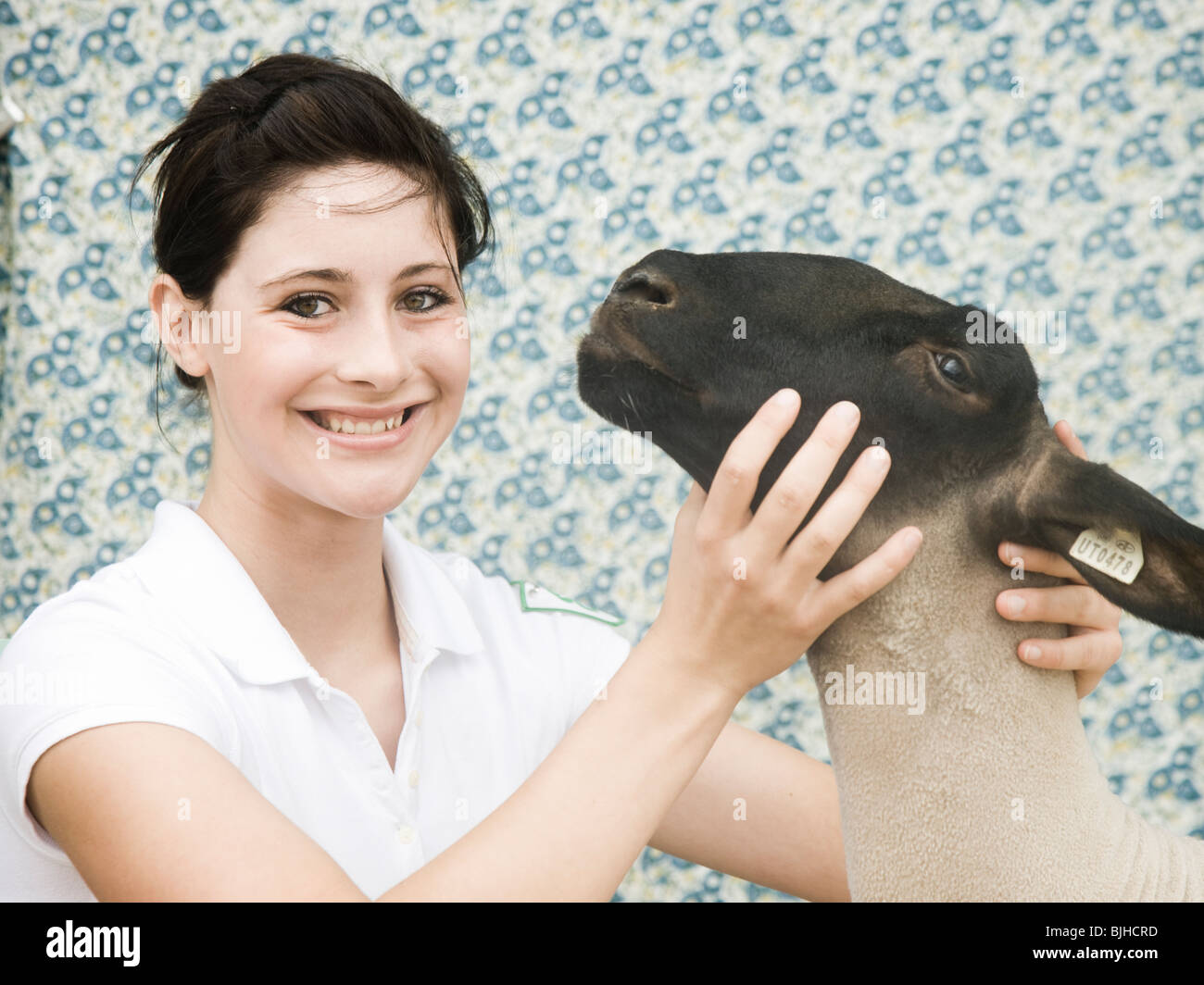 Woman sheep camera view hi-res stock photography and images - Alamy