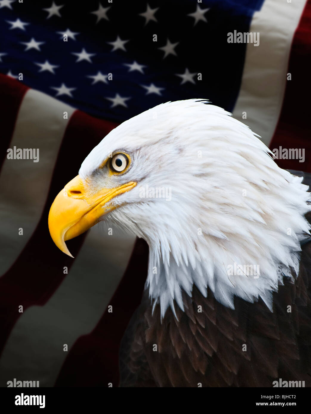 Symbols america flag bald eagle hi-res stock photography and images - Alamy