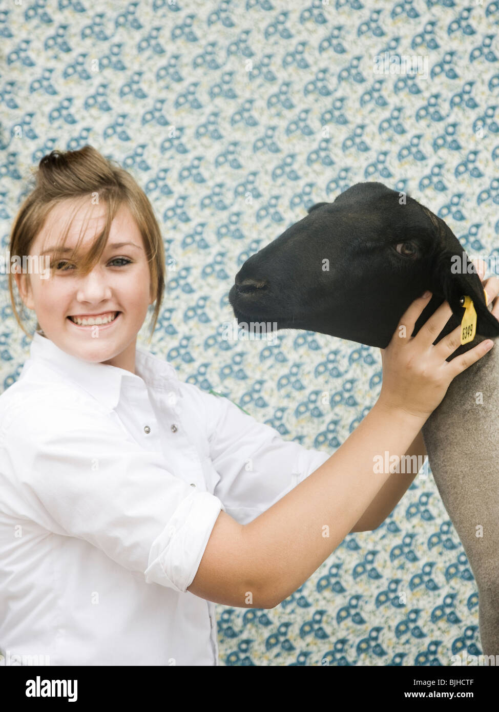 Woman sheep camera view hi-res stock photography and images - Alamy