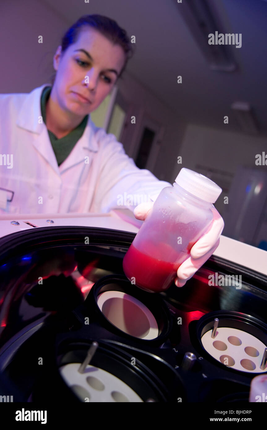 preparation of blood serum Stock Photo - Alamy