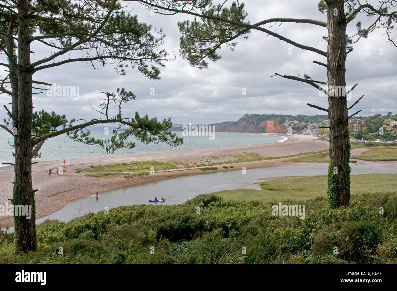 River otter estuary hi-res stock photography and images - Alamy