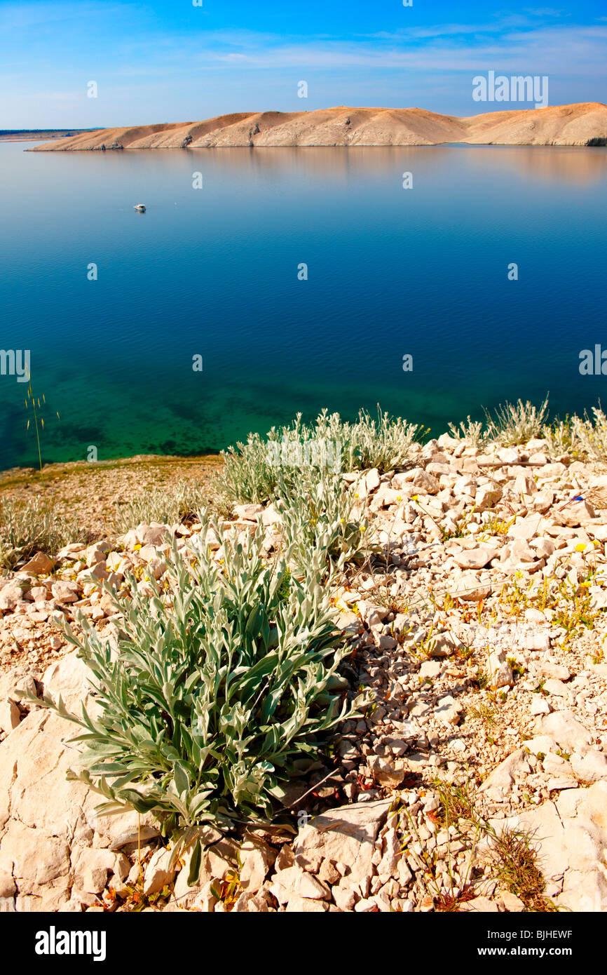 The baron decertified arid part of Pag Island Croatia, destroyed by ...