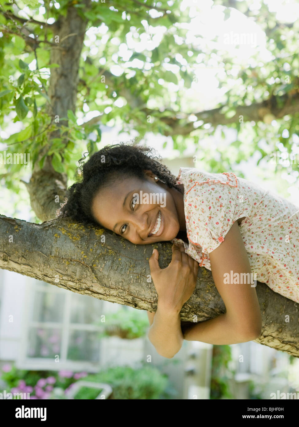 Lying In Tree Stock Photos & Lying In Tree Stock Images - Alamy