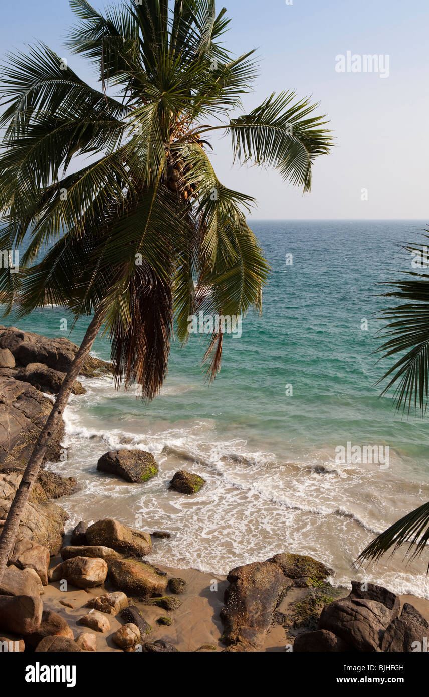 Kerala palm tree hi-res stock photography and images - Alamy