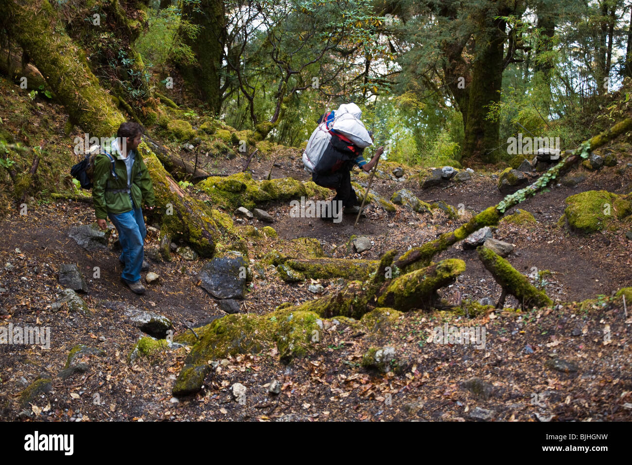 Back trail hi-res stock photography and images - Alamy