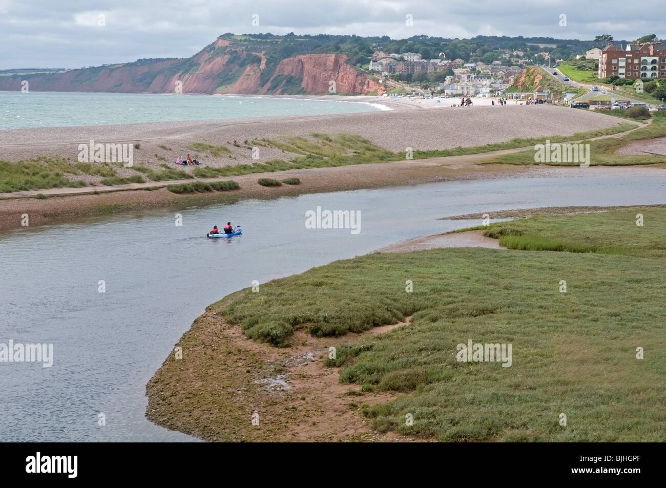 Devon river otter hi-res stock photography and images - Alamy
