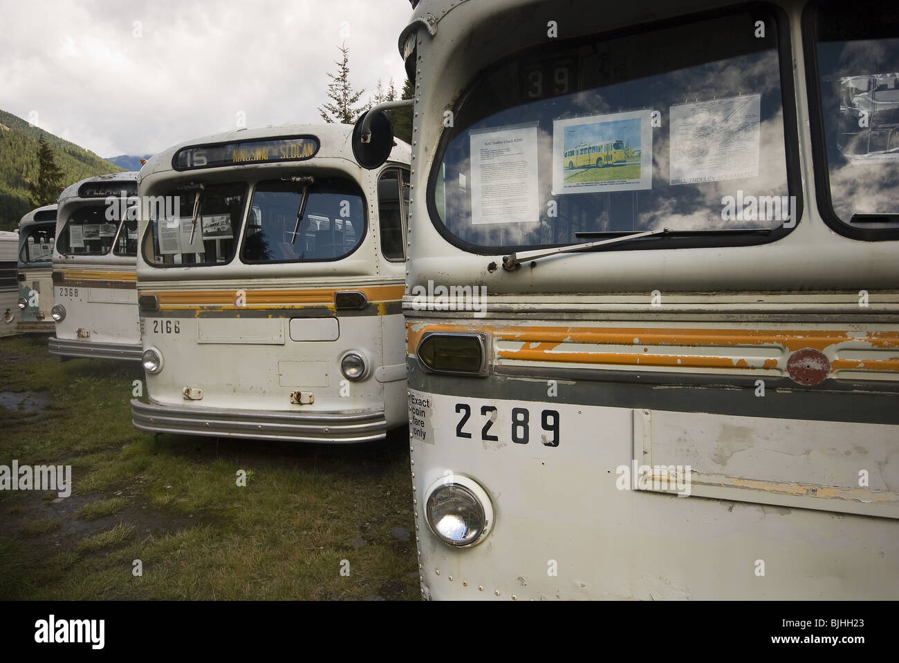 An old Canadian Electric Bus or Brill Stock Photo - Alamy