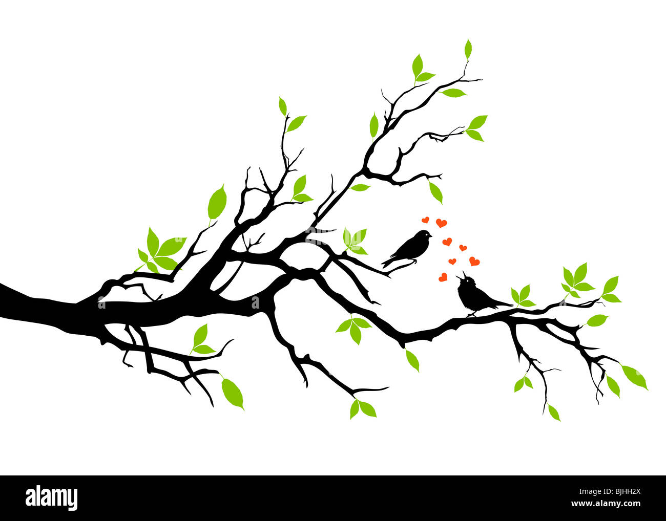 spring, love birds sitting on a tree Stock Photo - Alamy