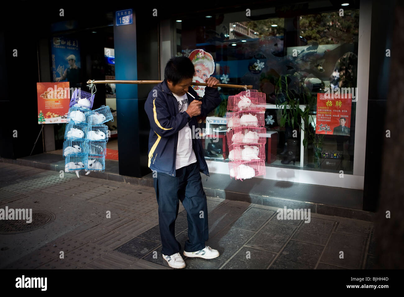Local man selling baby rabbits. Kunming, Yunnan, China Stock Photo - Alamy