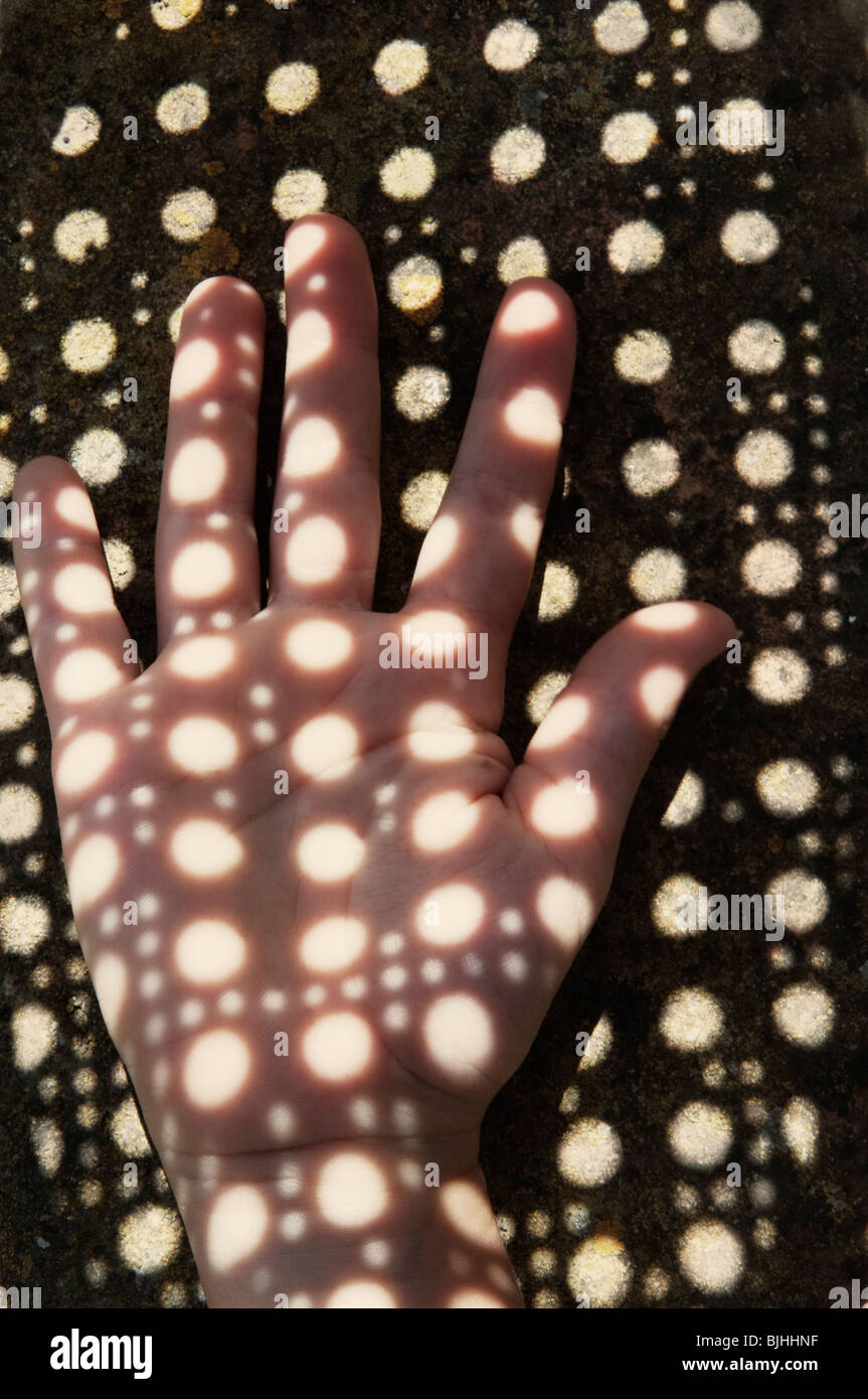 Shadow pattern hi-res stock photography and images - Alamy