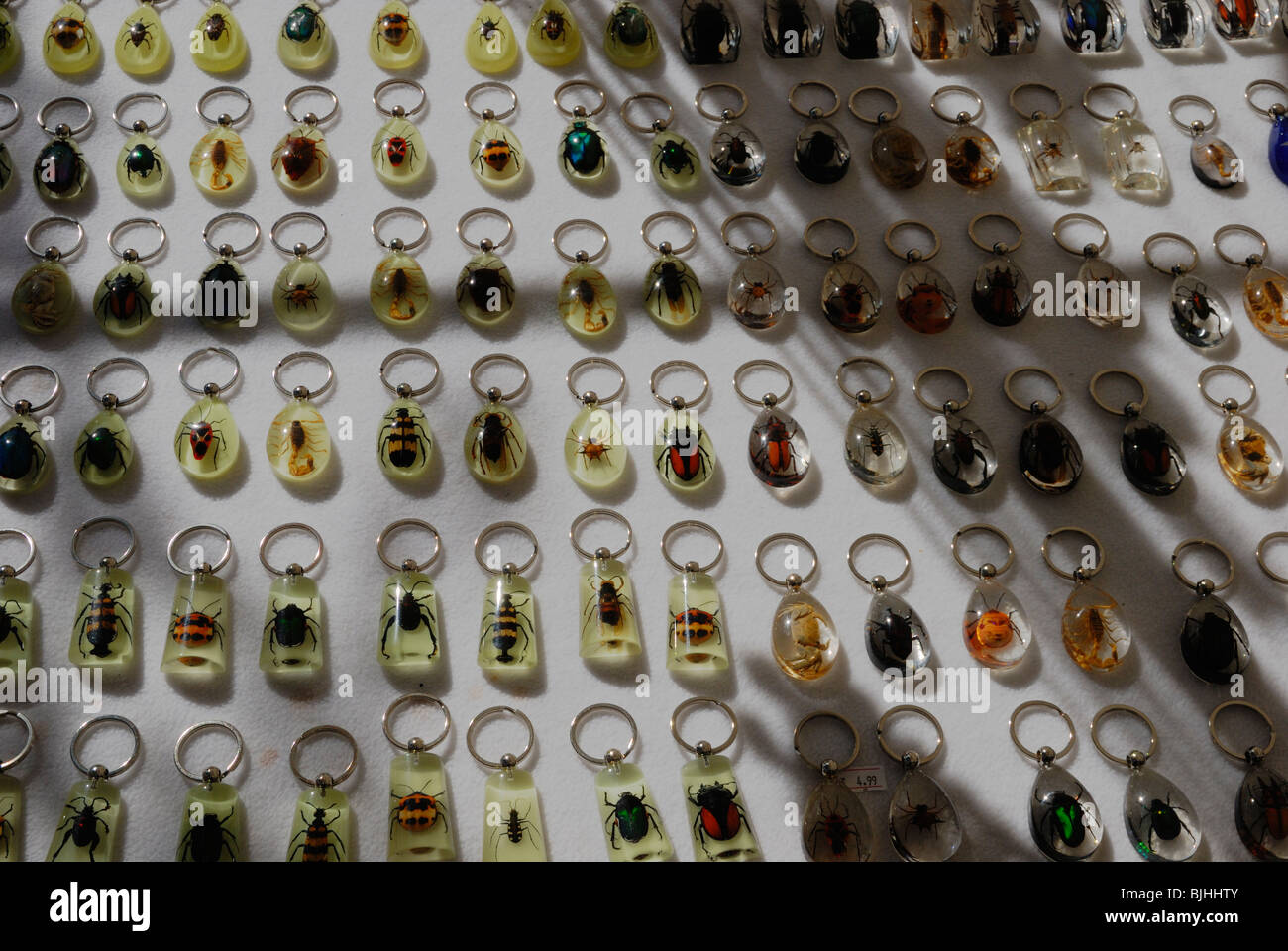 Keyrings made from exotic insects encased in resin at Machynlleth ...