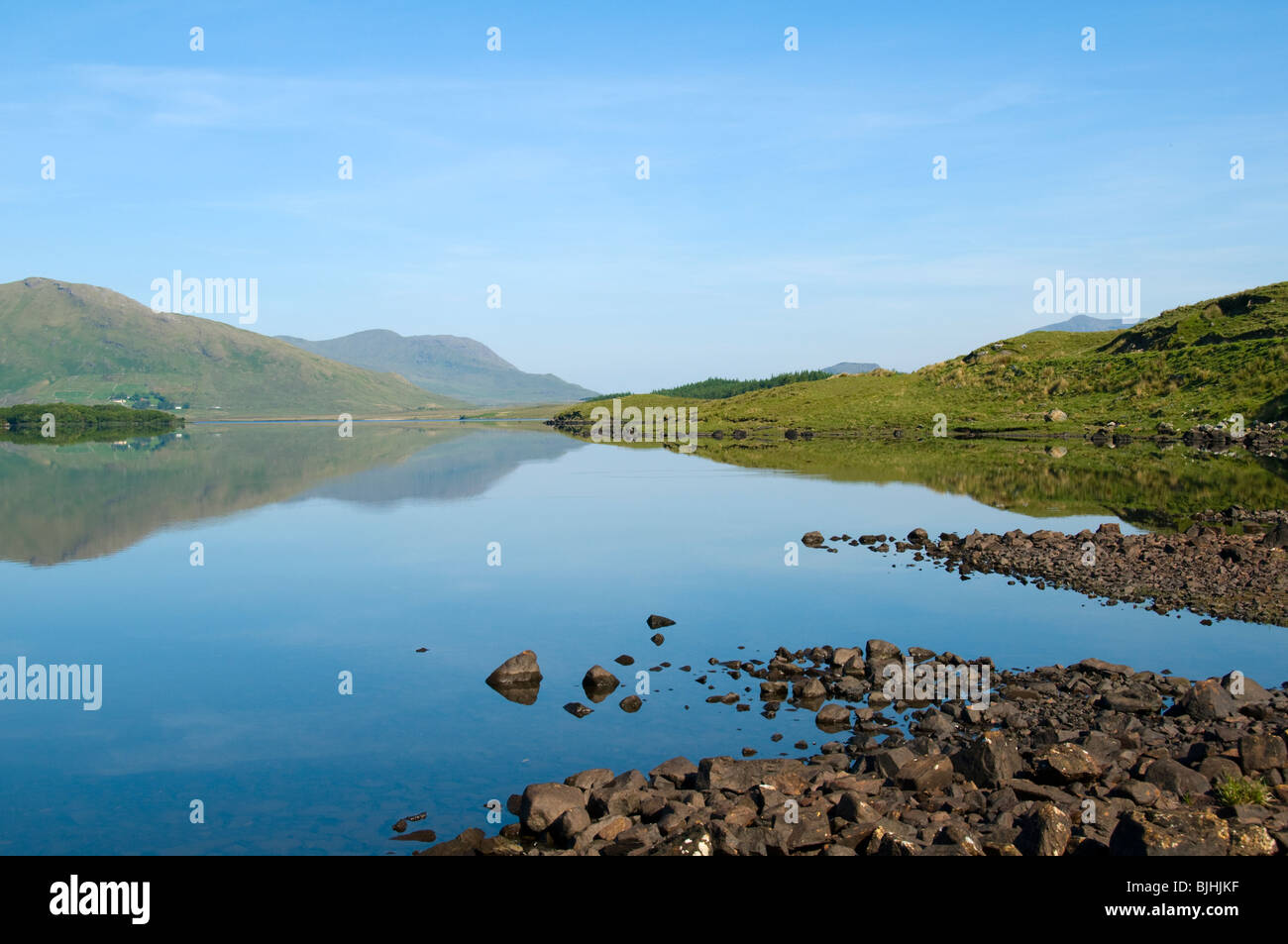 Connemara forest hi-res stock photography and images - Alamy