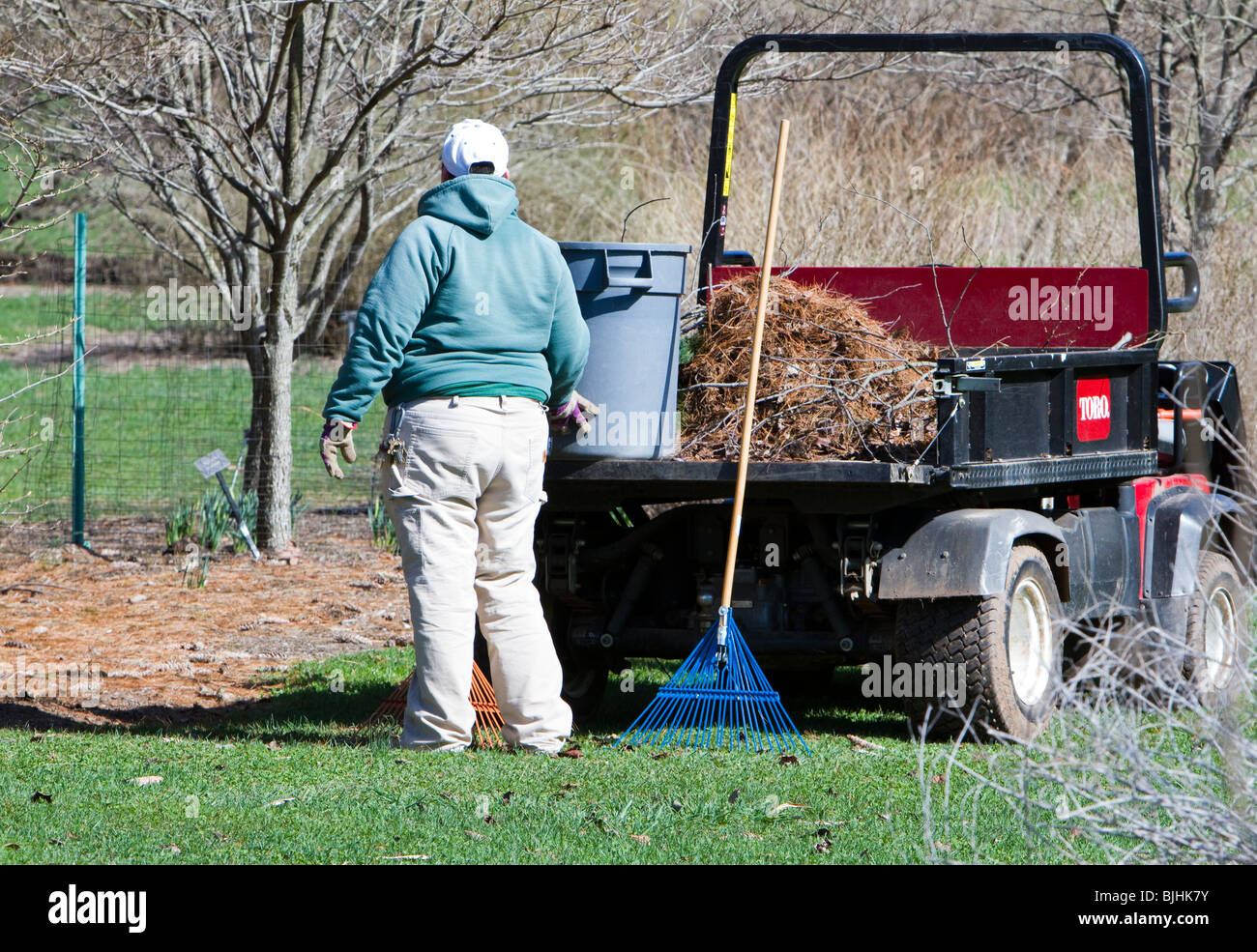 A gardener doing spring clean up with a rake and bucket. She is at the ...