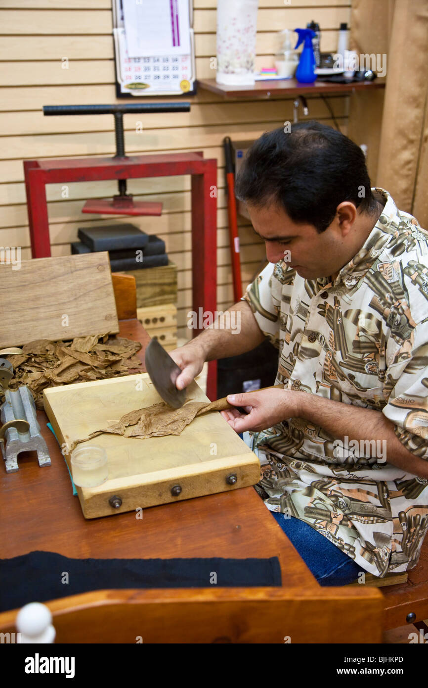 Cigar maker hi-res stock photography and images - Alamy