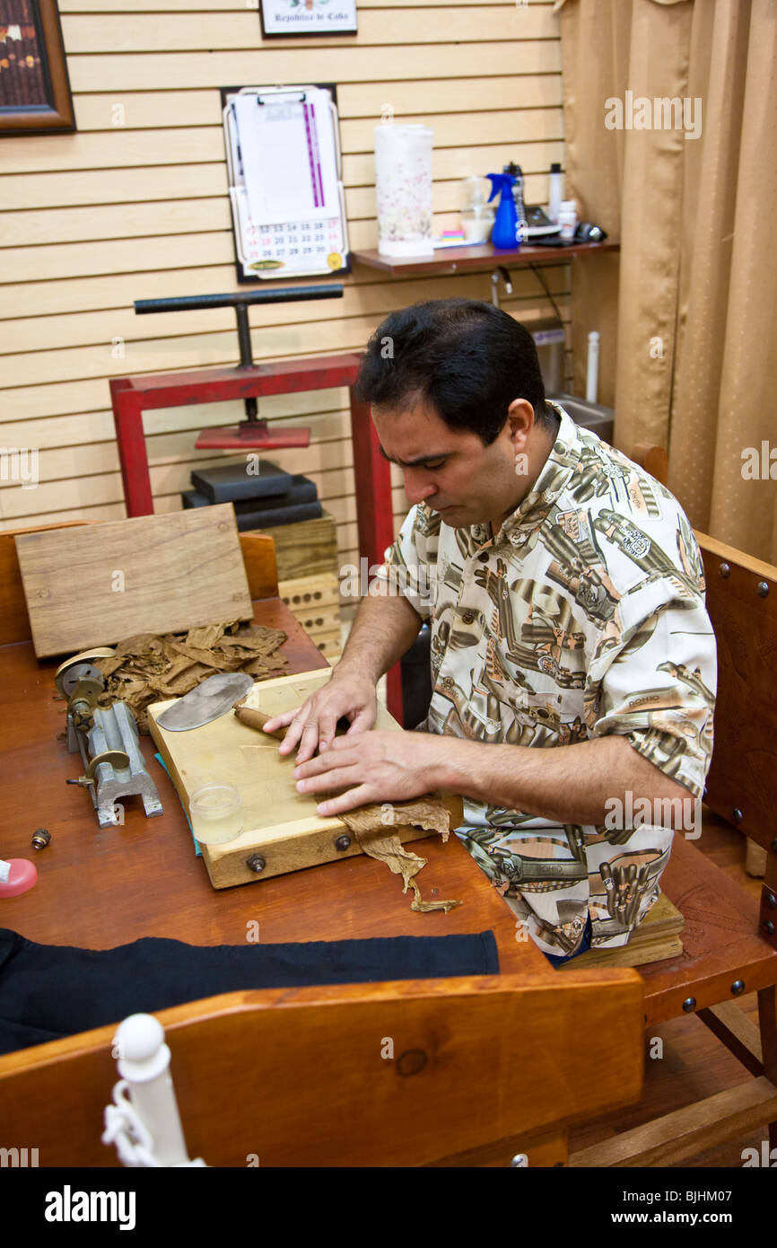 Demonstration cigar making by hand hi-res stock photography and images ...