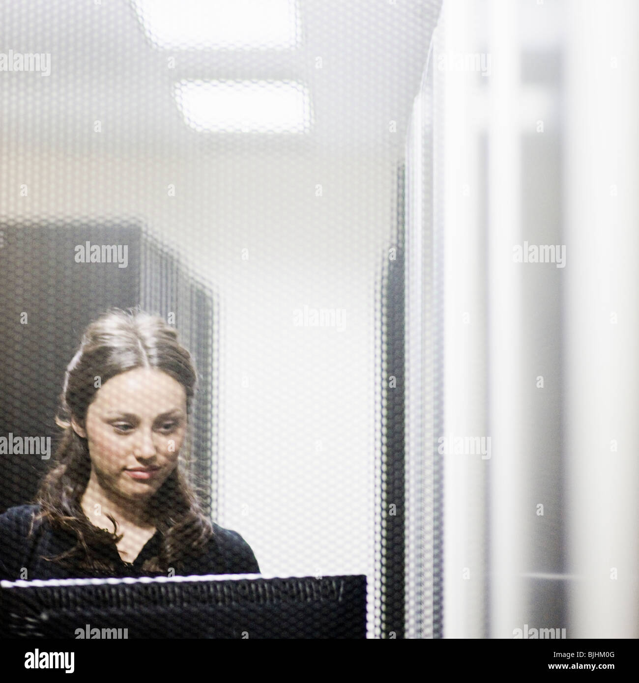woman working on a computer shot through a metal screen Stock Photo - Alamy