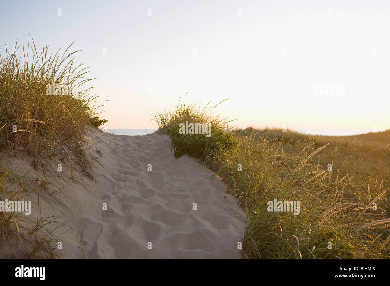 Path to the beach Stock Photo - Alamy