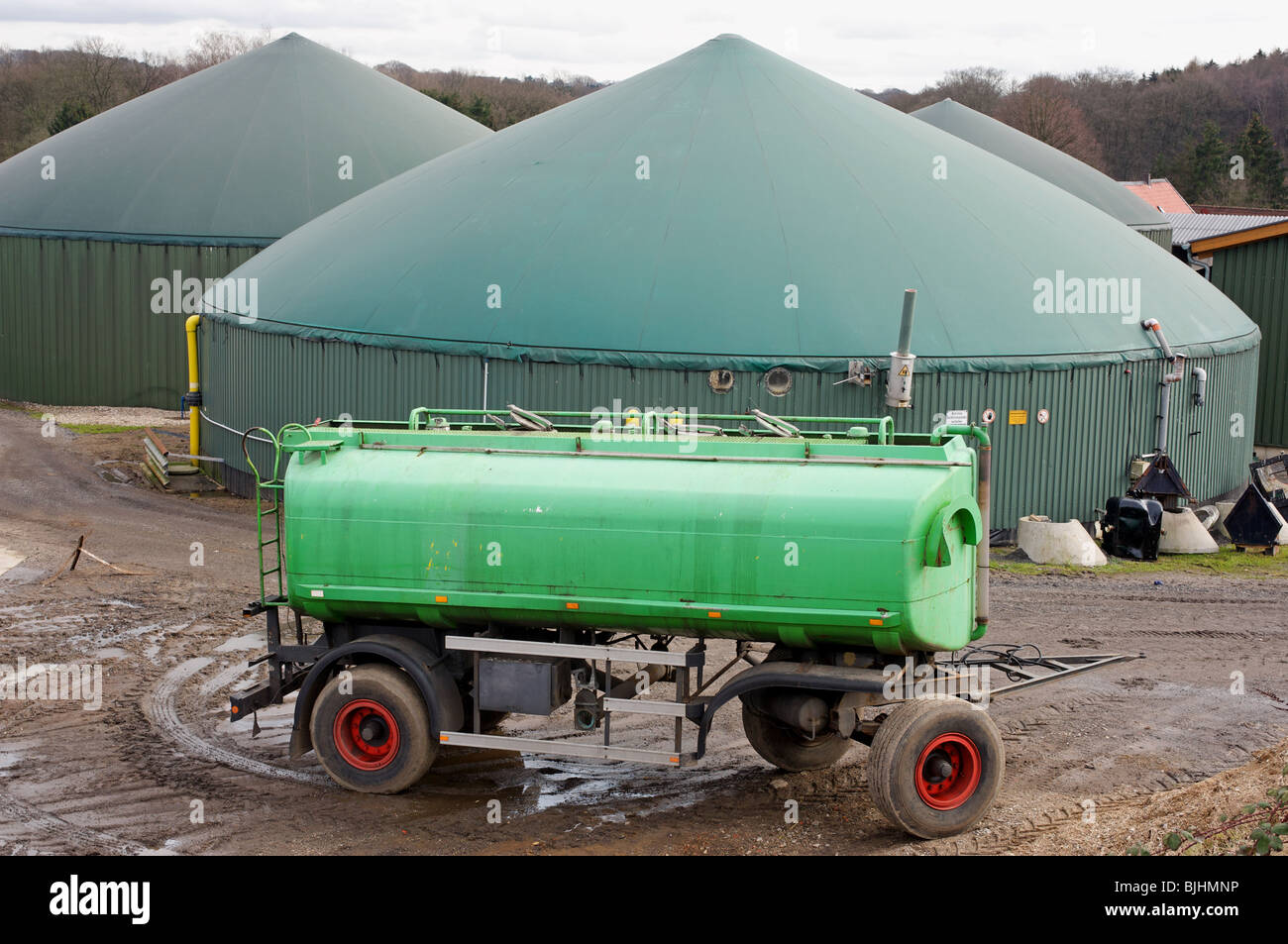 Animal waste hi-res stock photography and images - Alamy