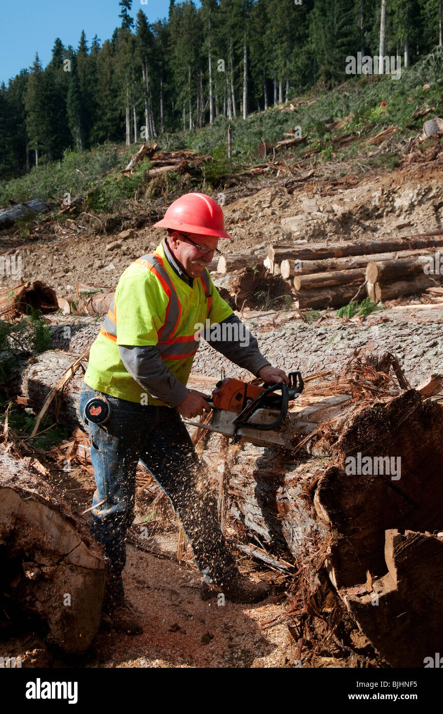 Trimming a log Stock Photo - Alamy