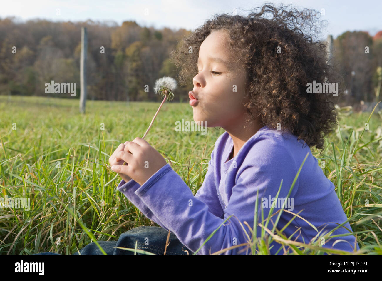 Young girl blowing dandelion Stock Photo - Alamy