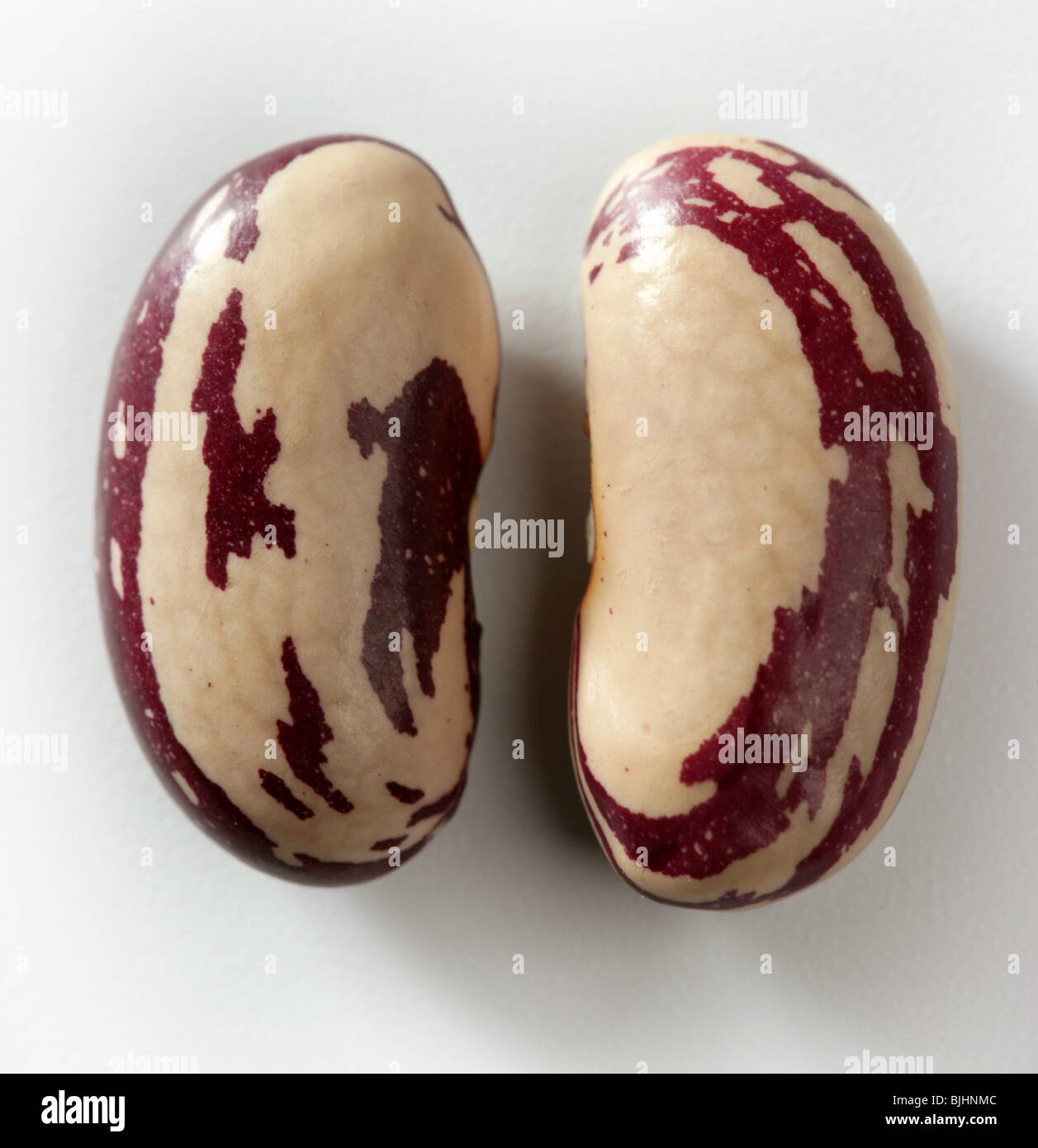 Dried beans macro at studio white background Stock Photo - Alamy