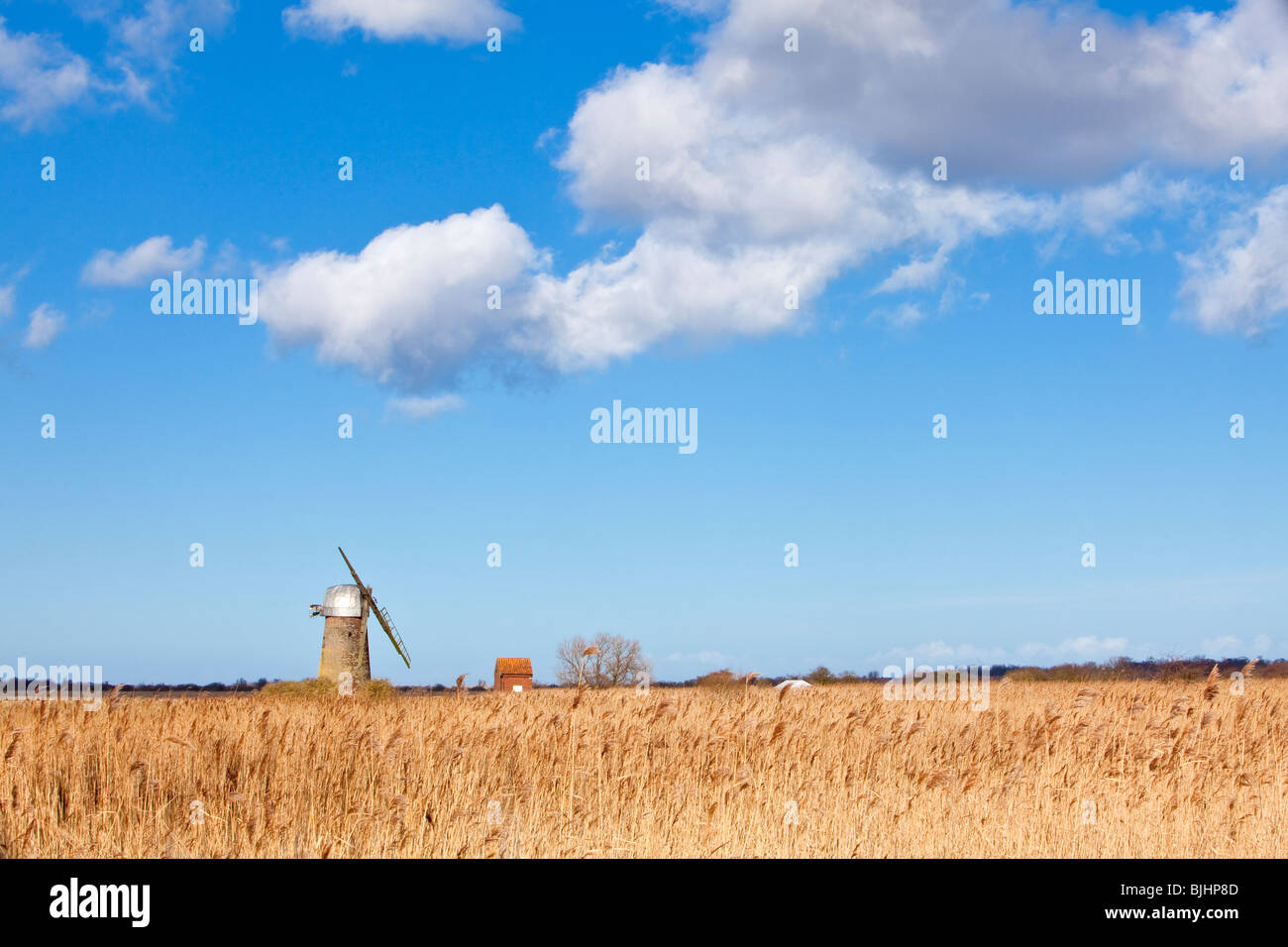The River Thurne with the derelict Heigham Holmes Mill at Eelfleet Dyke ...