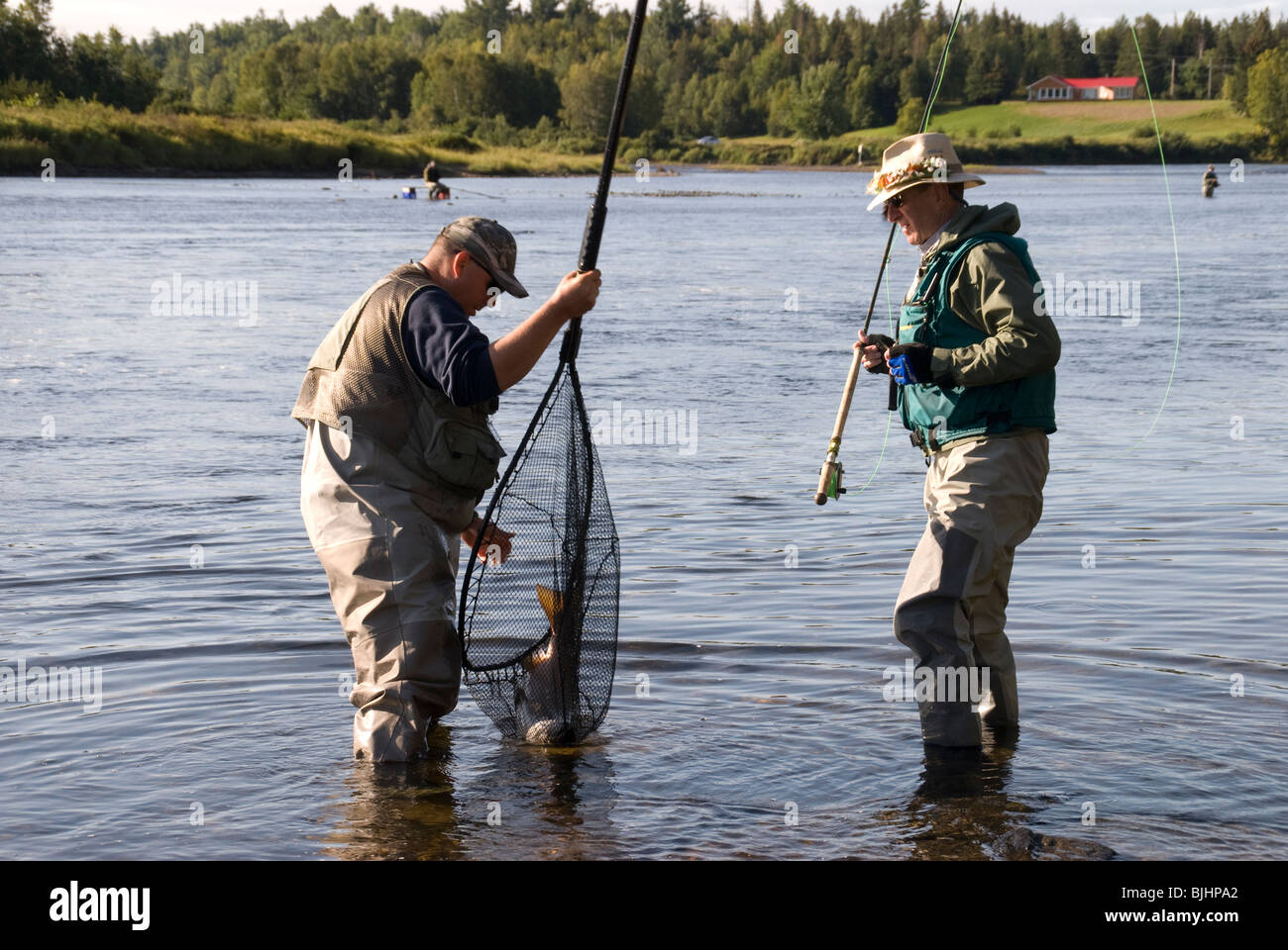 New Brunswick, Canada, Miramichi River, fly fishermen fishing for ...