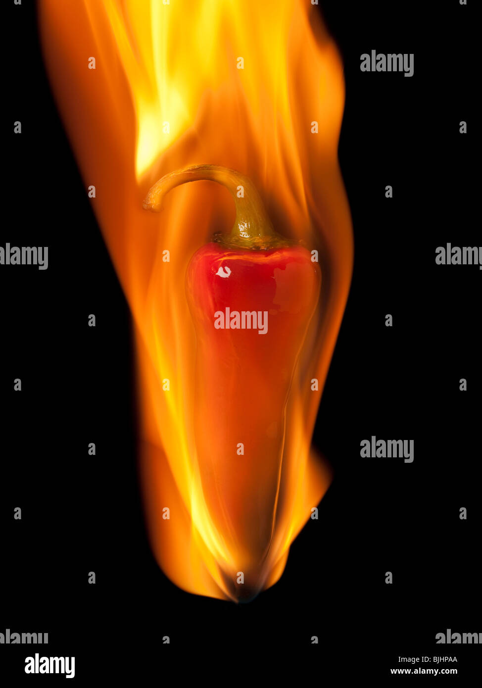 red chili on fire Stock Photo - Alamy