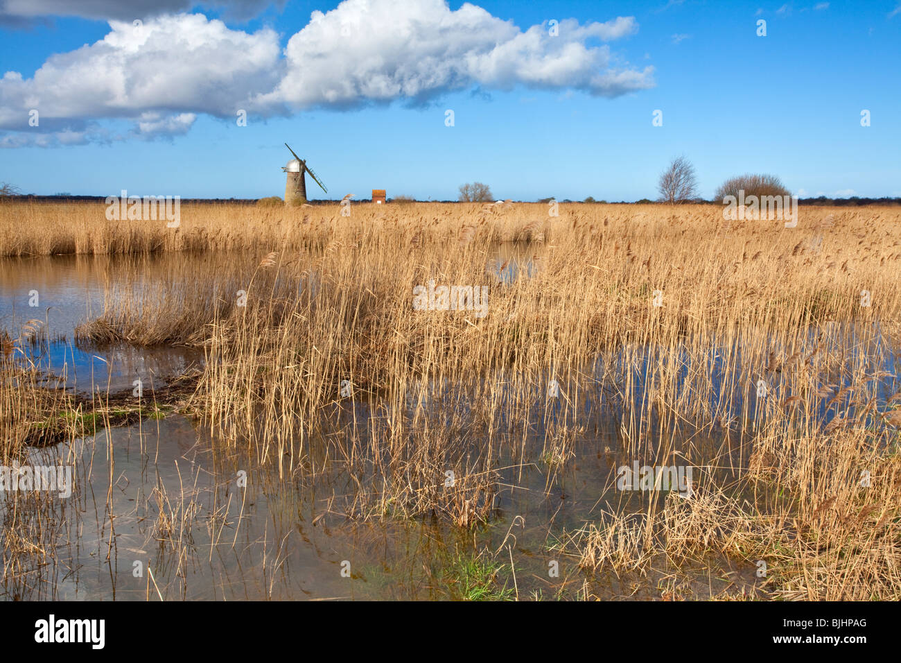 The River Thurne with the derelict Heigham Holmes Mill at Eelfleet Dyke ...