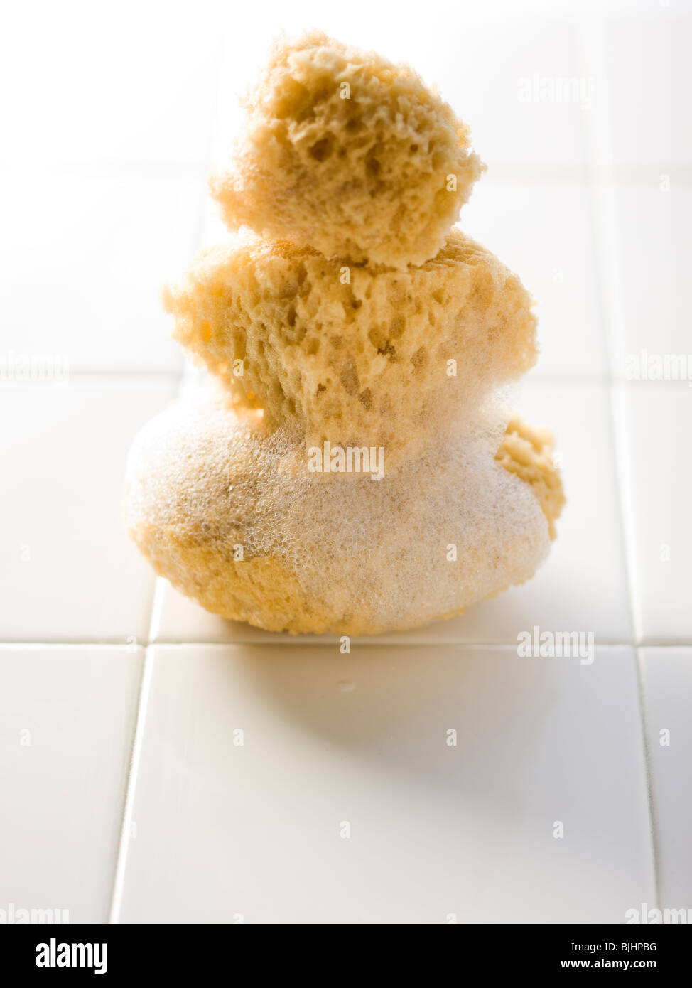 Bathing sponges hi-res stock photography and images - Alamy