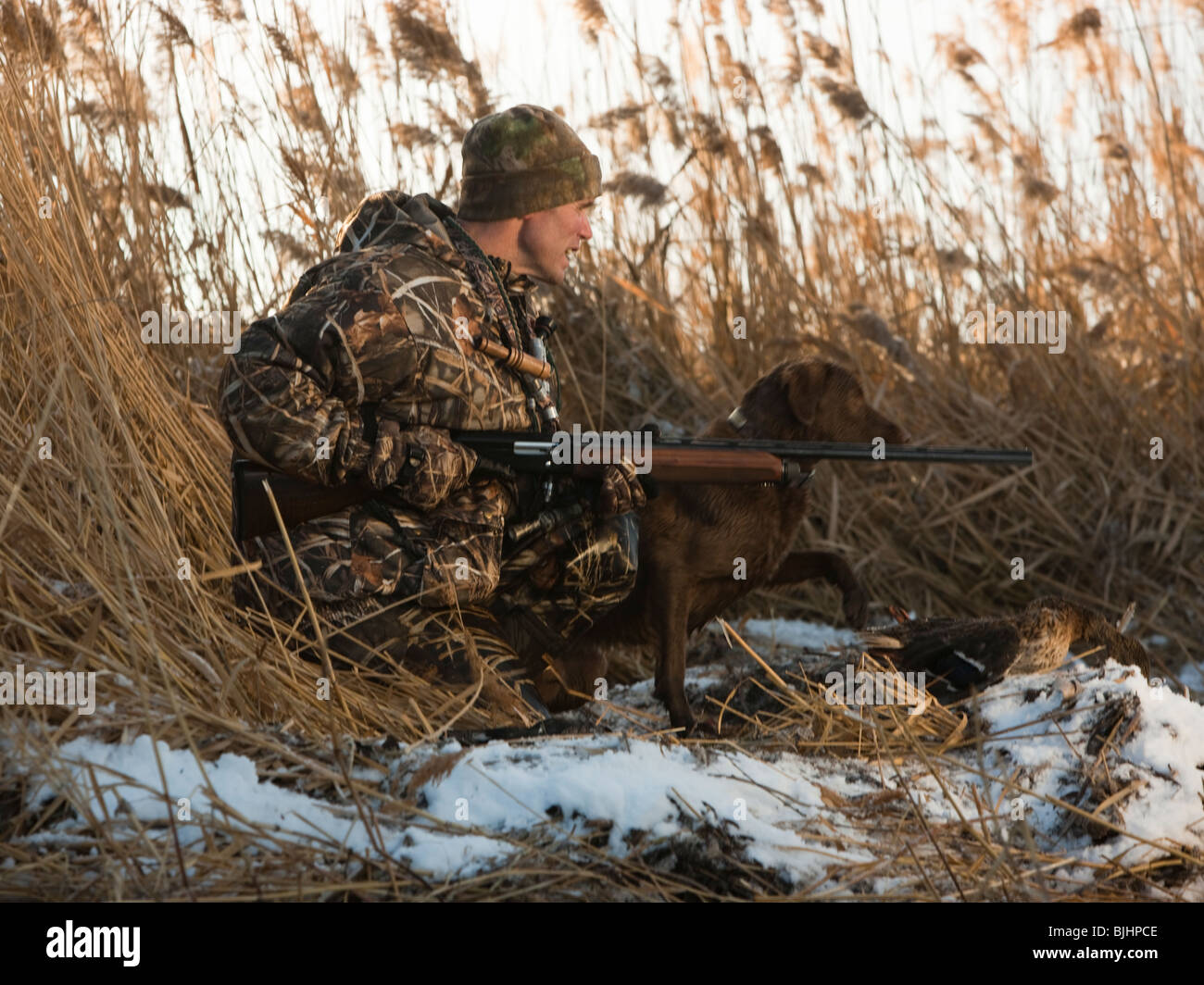 man out hunting with his dog Stock Photo - Alamy