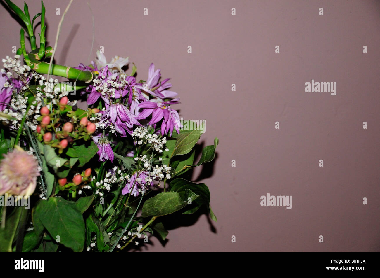 Wilting bunch of flowers hi-res stock photography and images - Alamy
