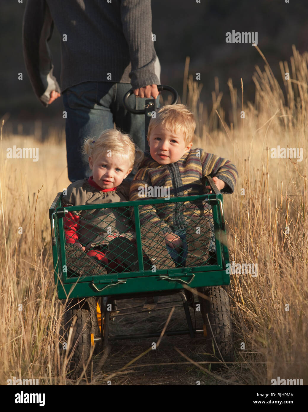 Father pulling children in wagon Stock Photo - Alamy