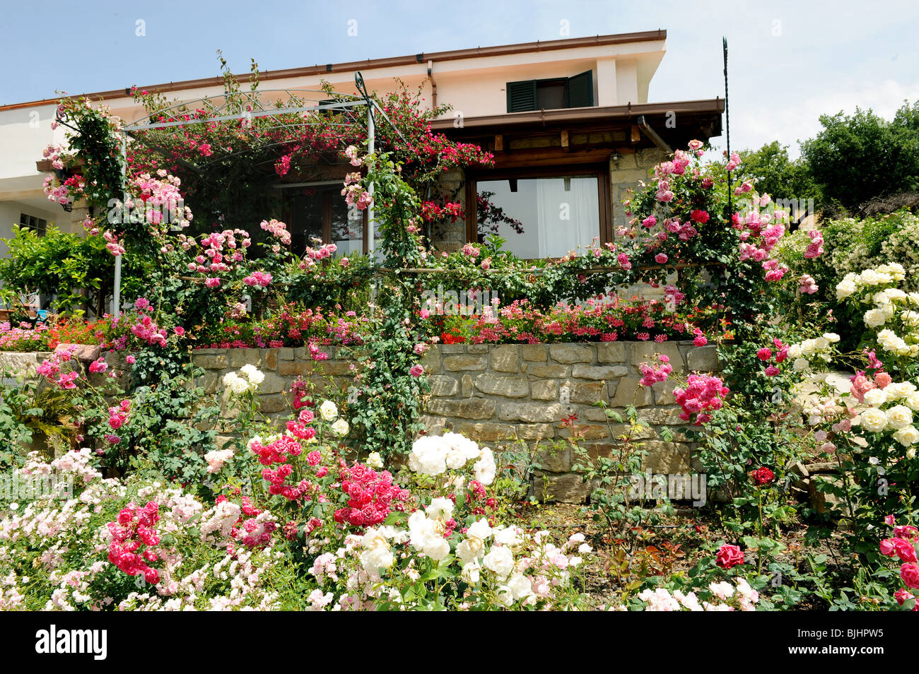 Beautiful Flowers Garden House