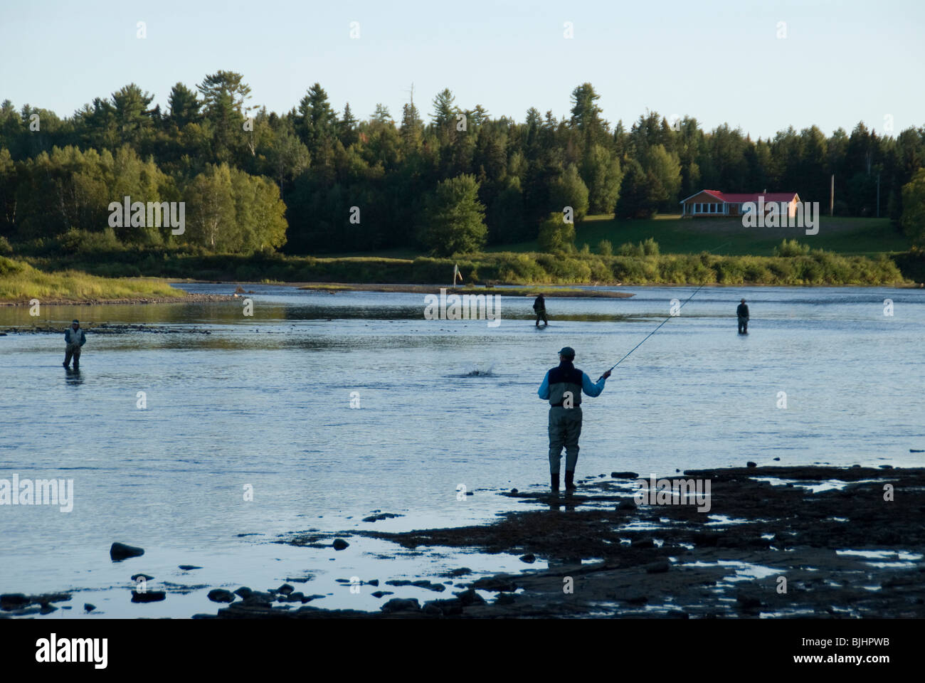New Brunswick, Canada, Miramichi River, fly fishermen fishing for ...